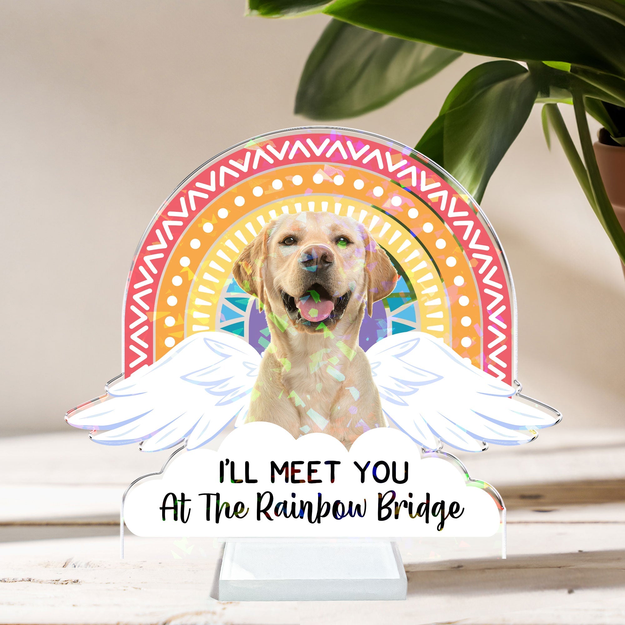 Holographic Acrylic Plaque – Macorner