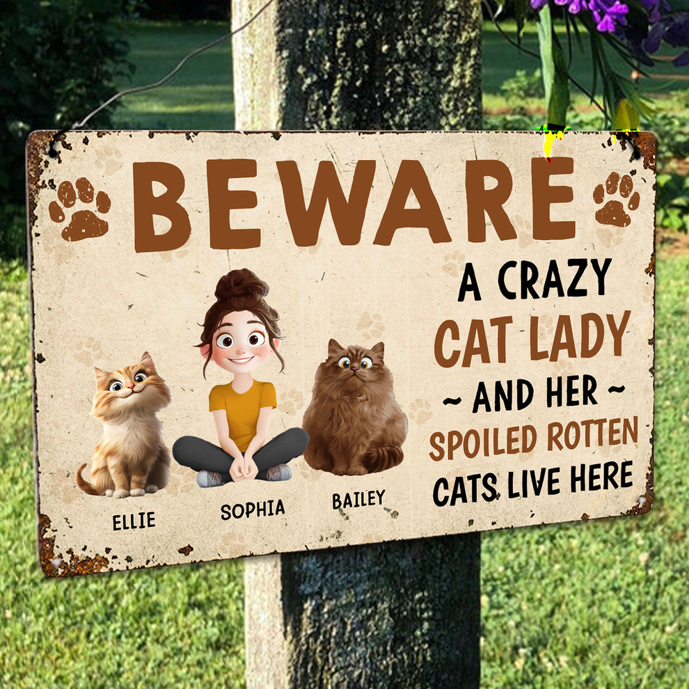 Crazy Cat Lady And Her Cats - Personalized Metal Sign – Macorner