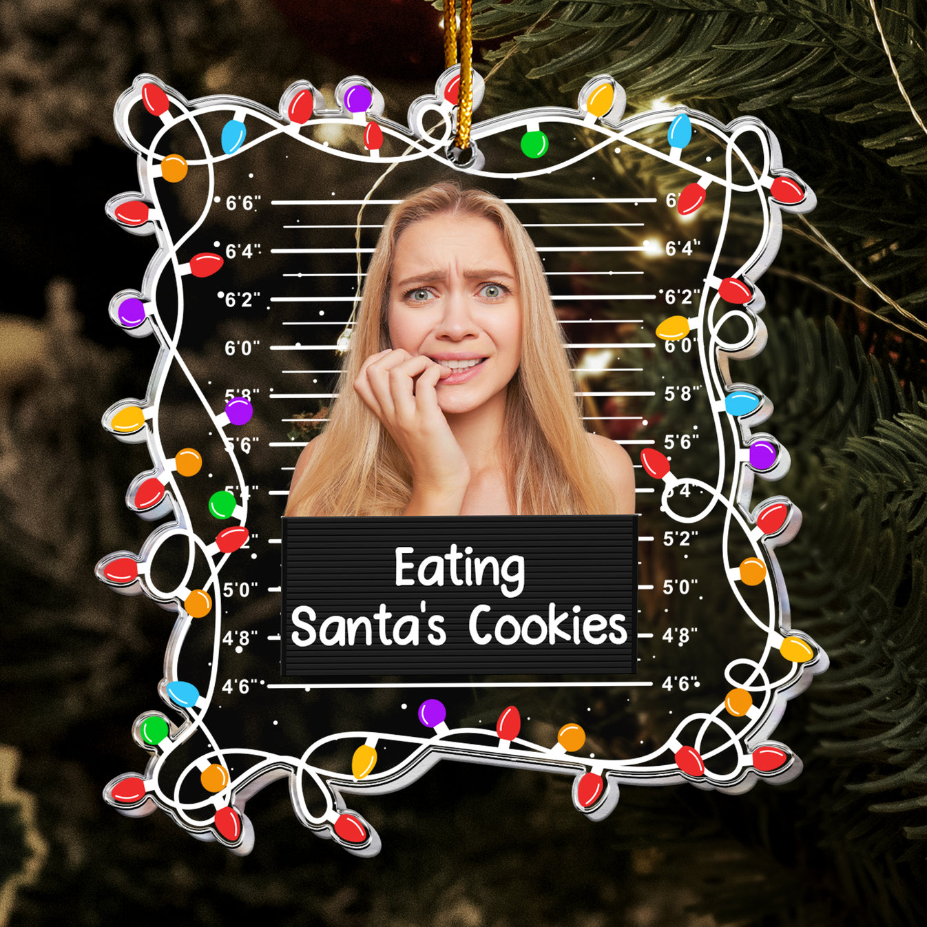 Custom Funny Moment Mugshots - Personalized Acrylic Photo Ornament ...