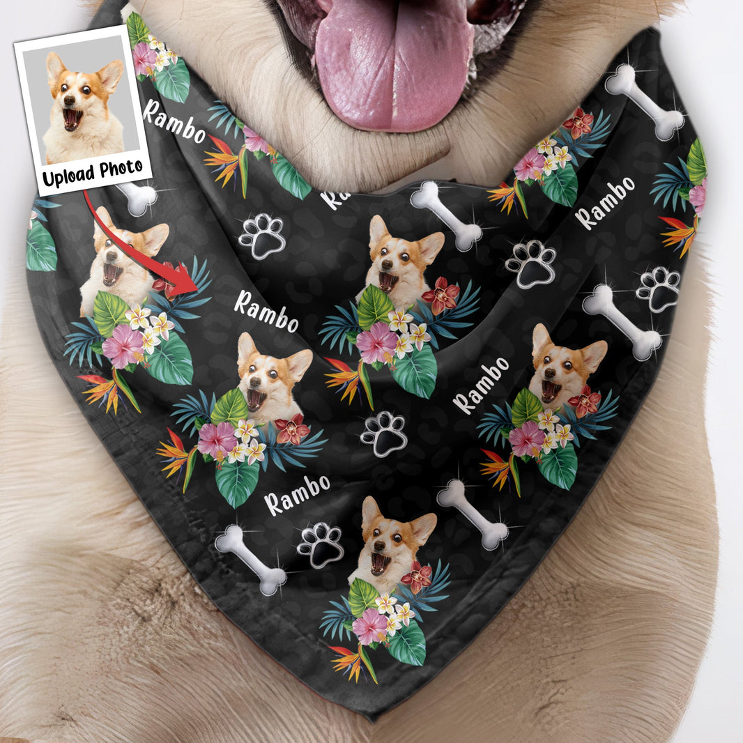 Bandana Collar – Macorner