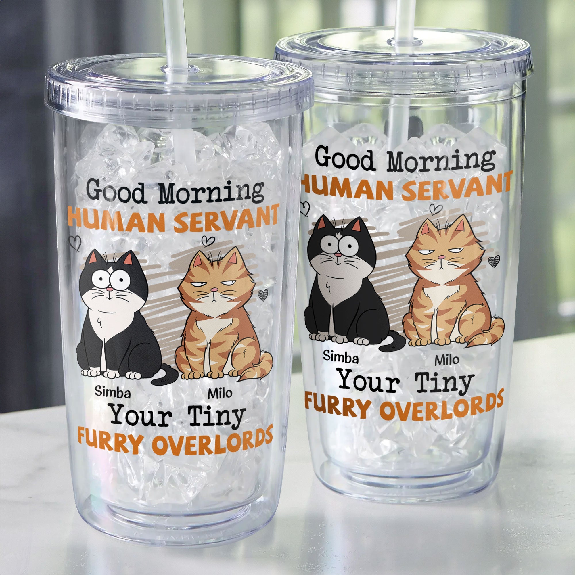 Good Morning Human Servant 2 - Personalized Acrylic Tumbler With Straw ...