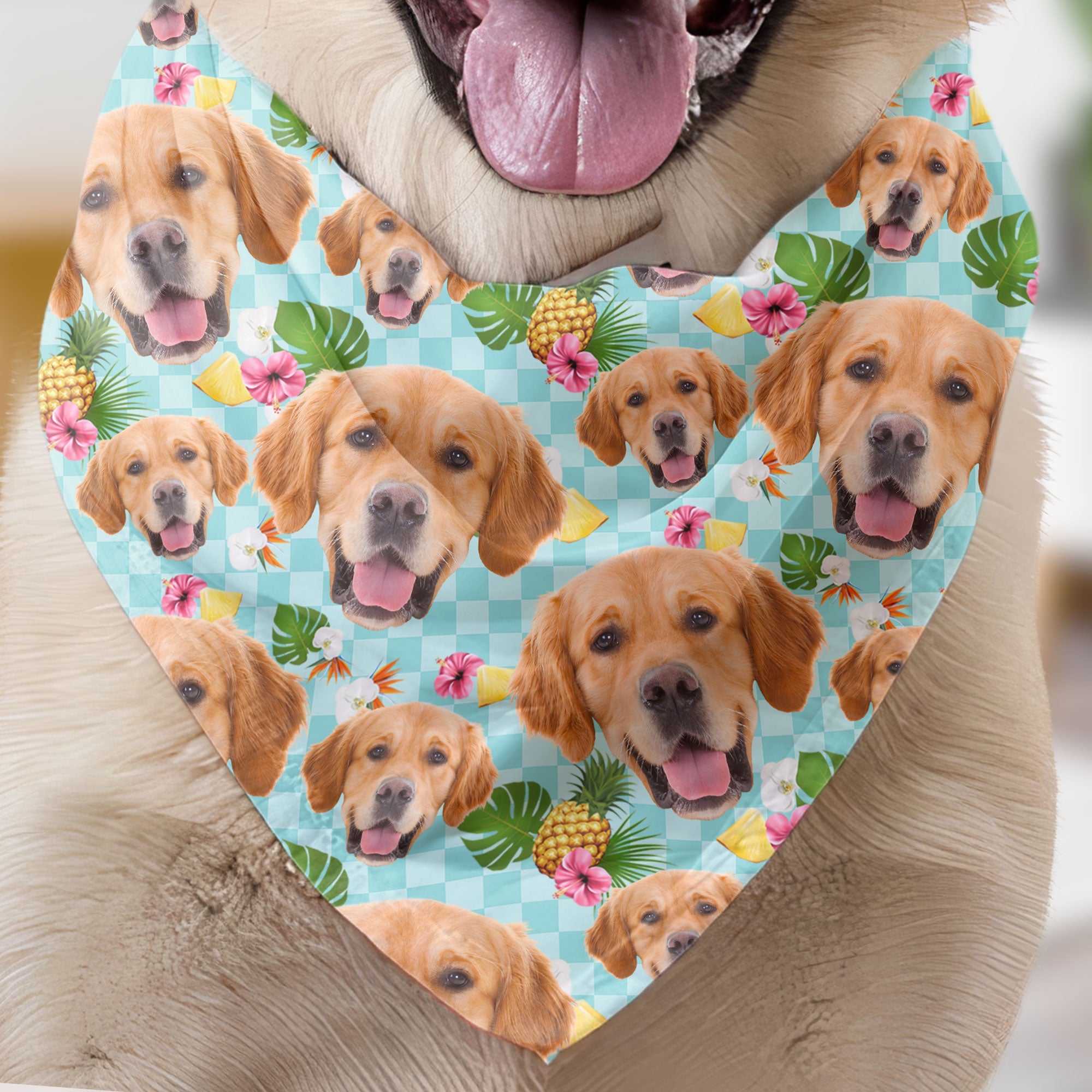 Bandana Collar – Macorner