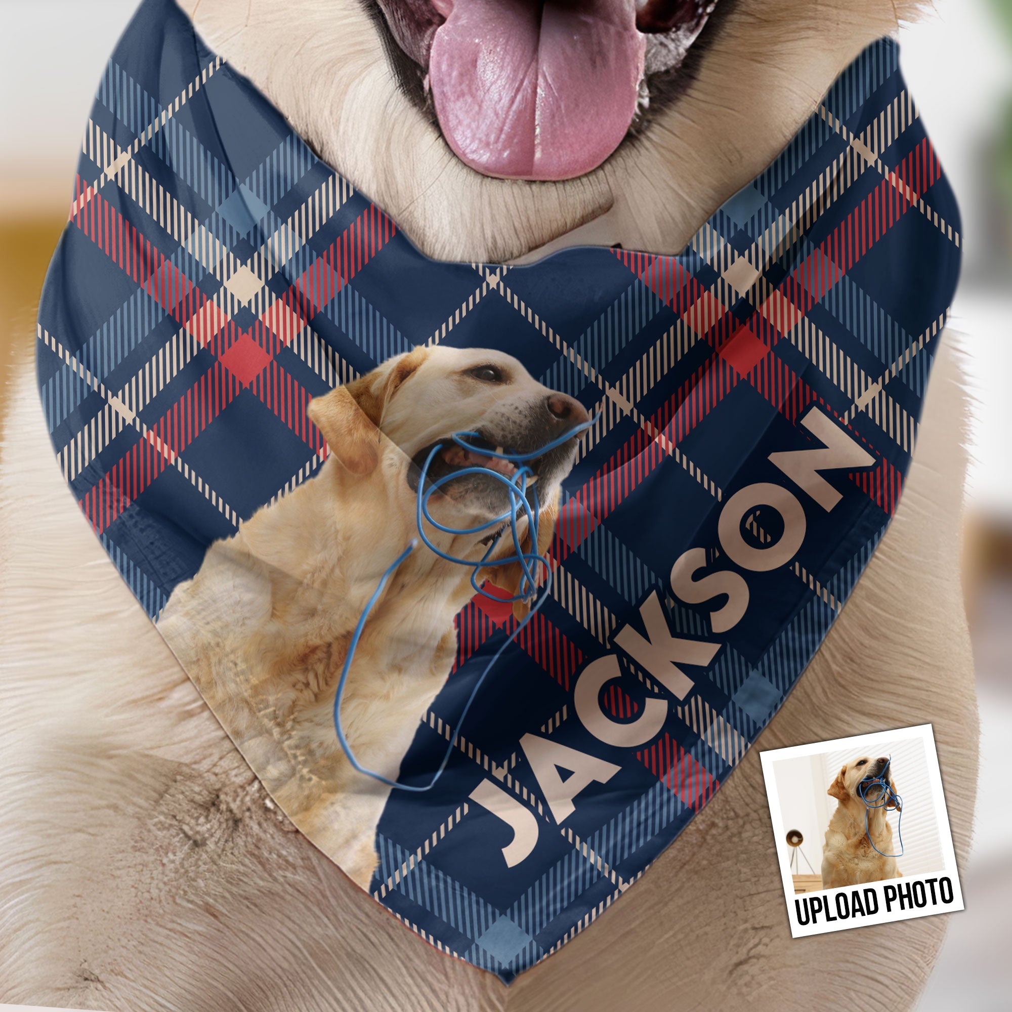 Bandana Collar – Macorner