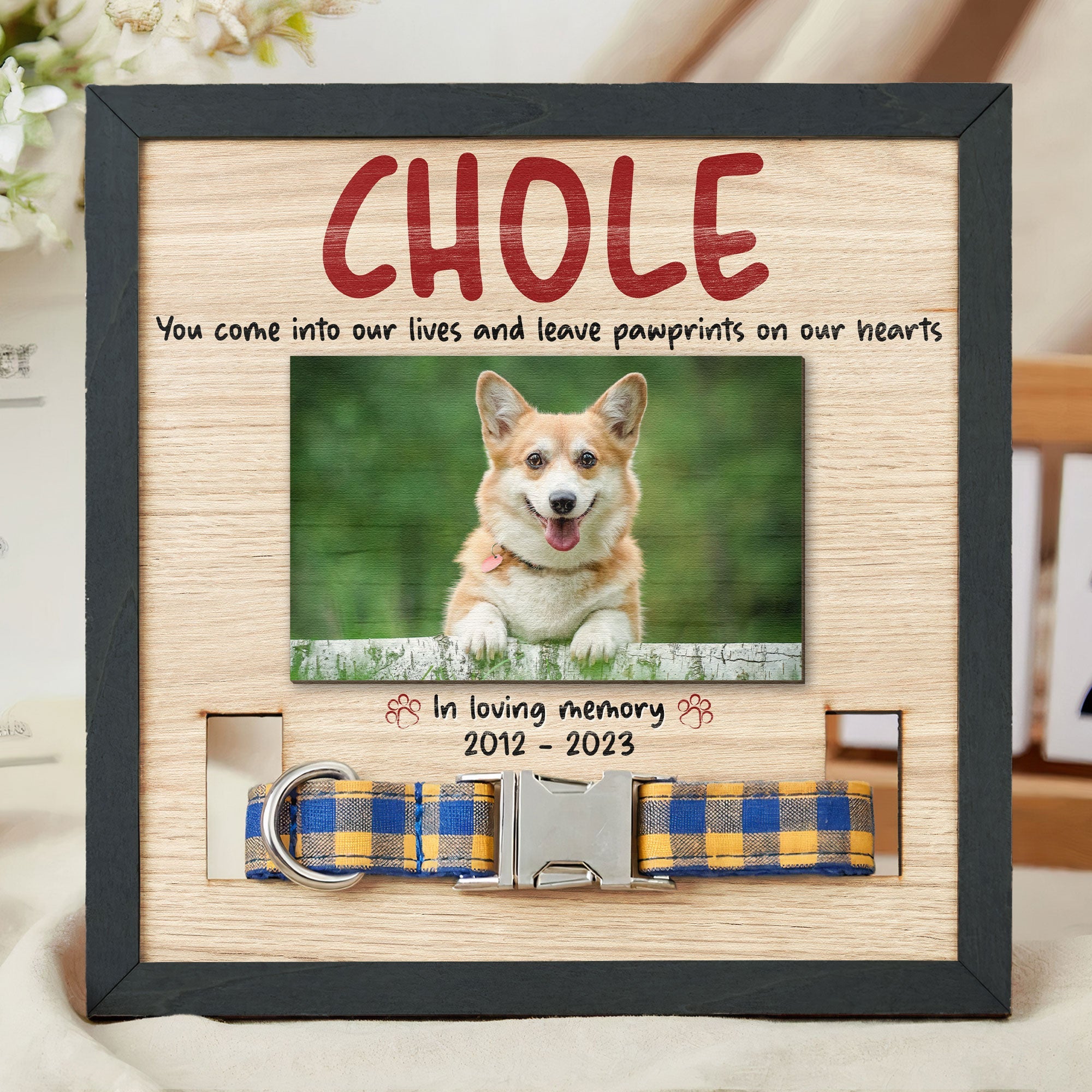 In Memory of Precious Pets – Page 7 – Macorner